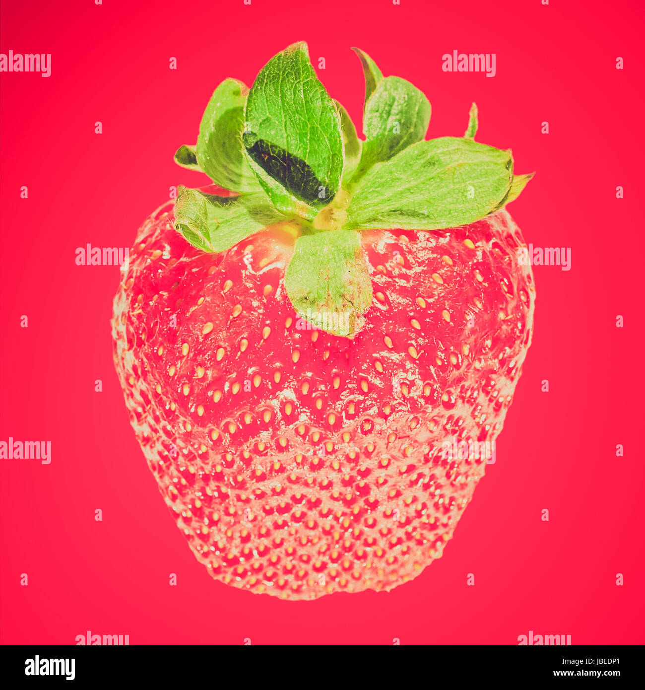 Vintage retro looking Strawberry fruit isolated over a red background ...