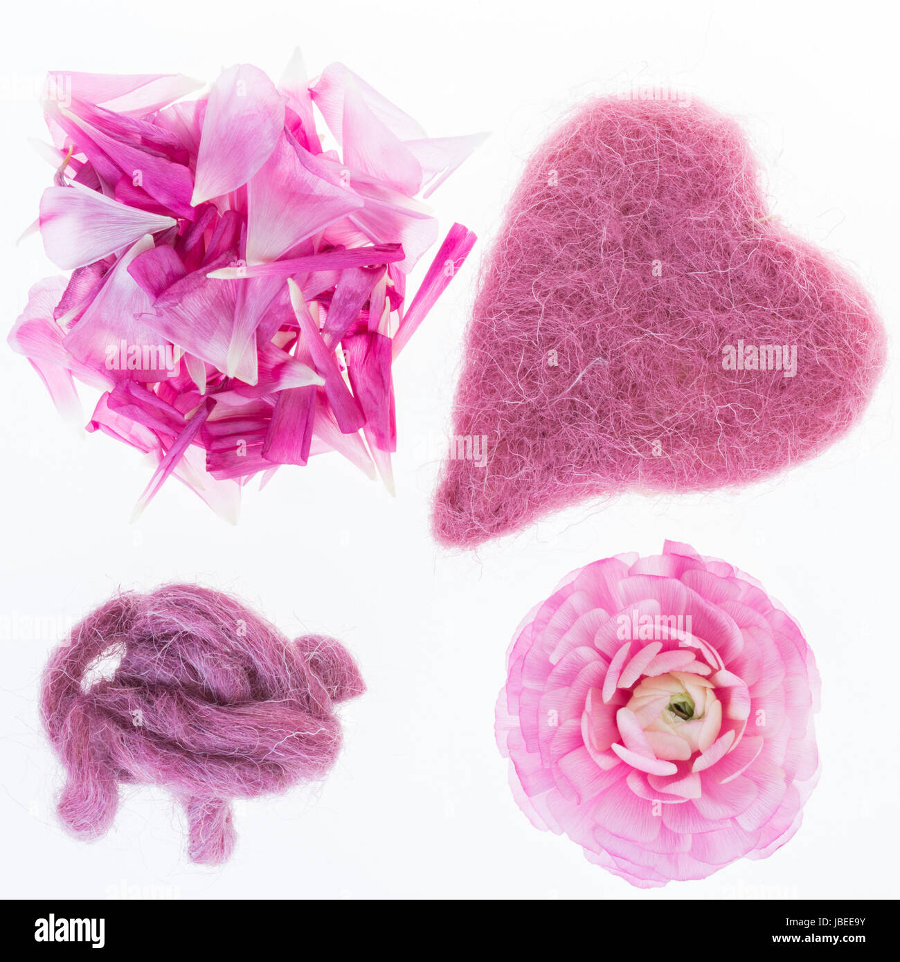collage of four magenta objects in front of a white background Stock ...