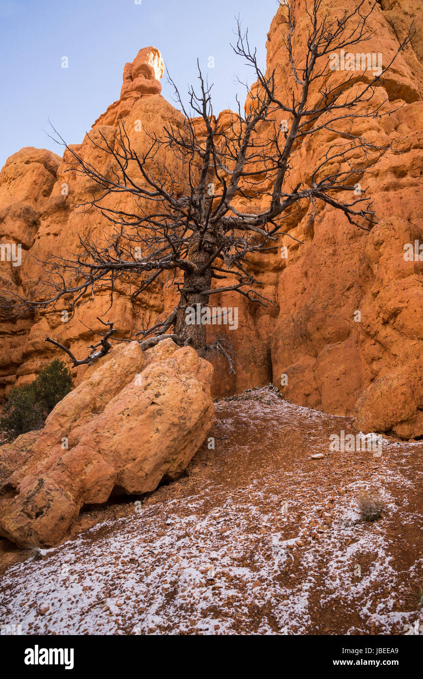 Red Canyon, Utah; USA Stock Photo - Alamy