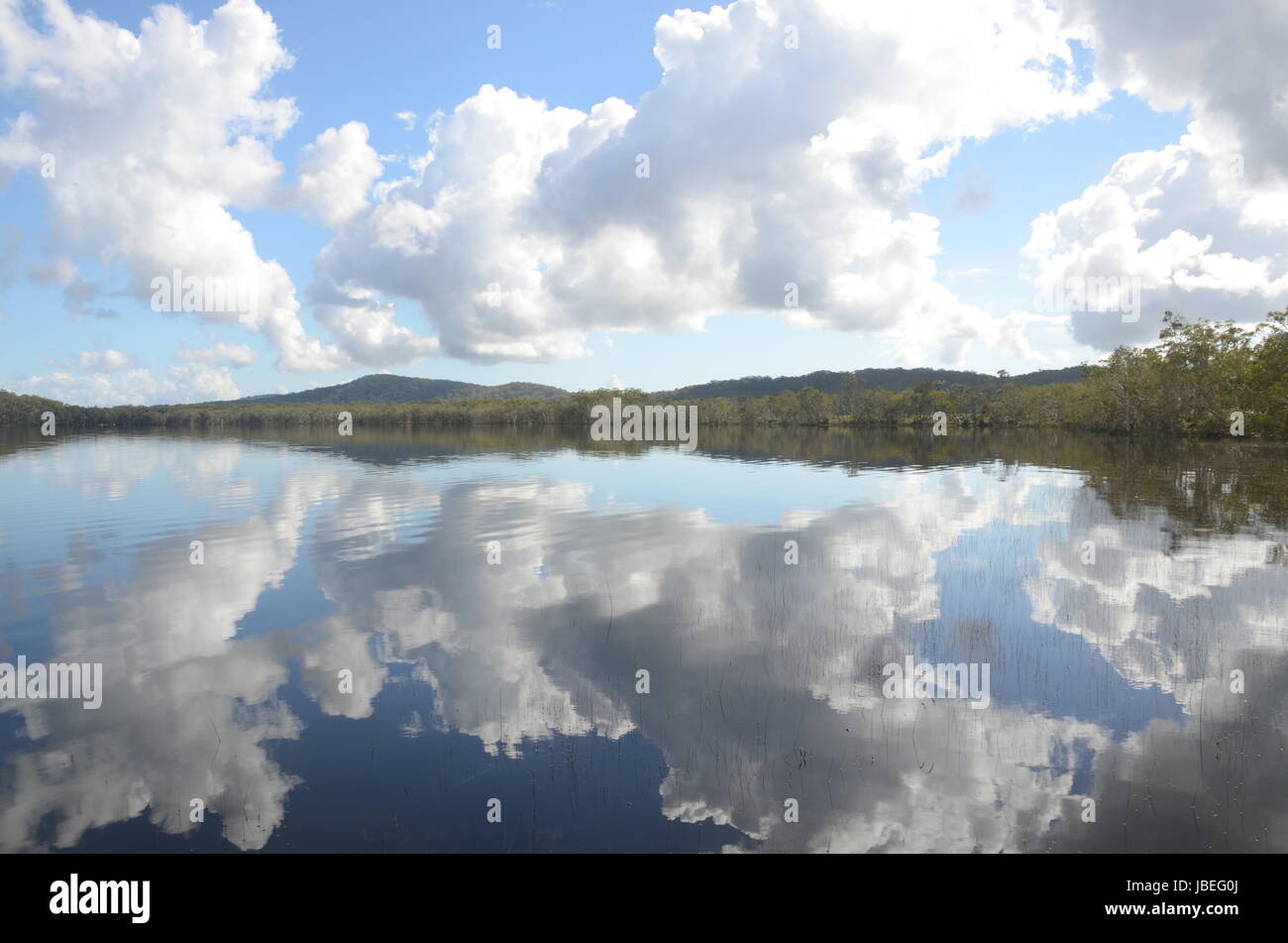 Myall lake national park hi-res stock photography and images - Alamy
