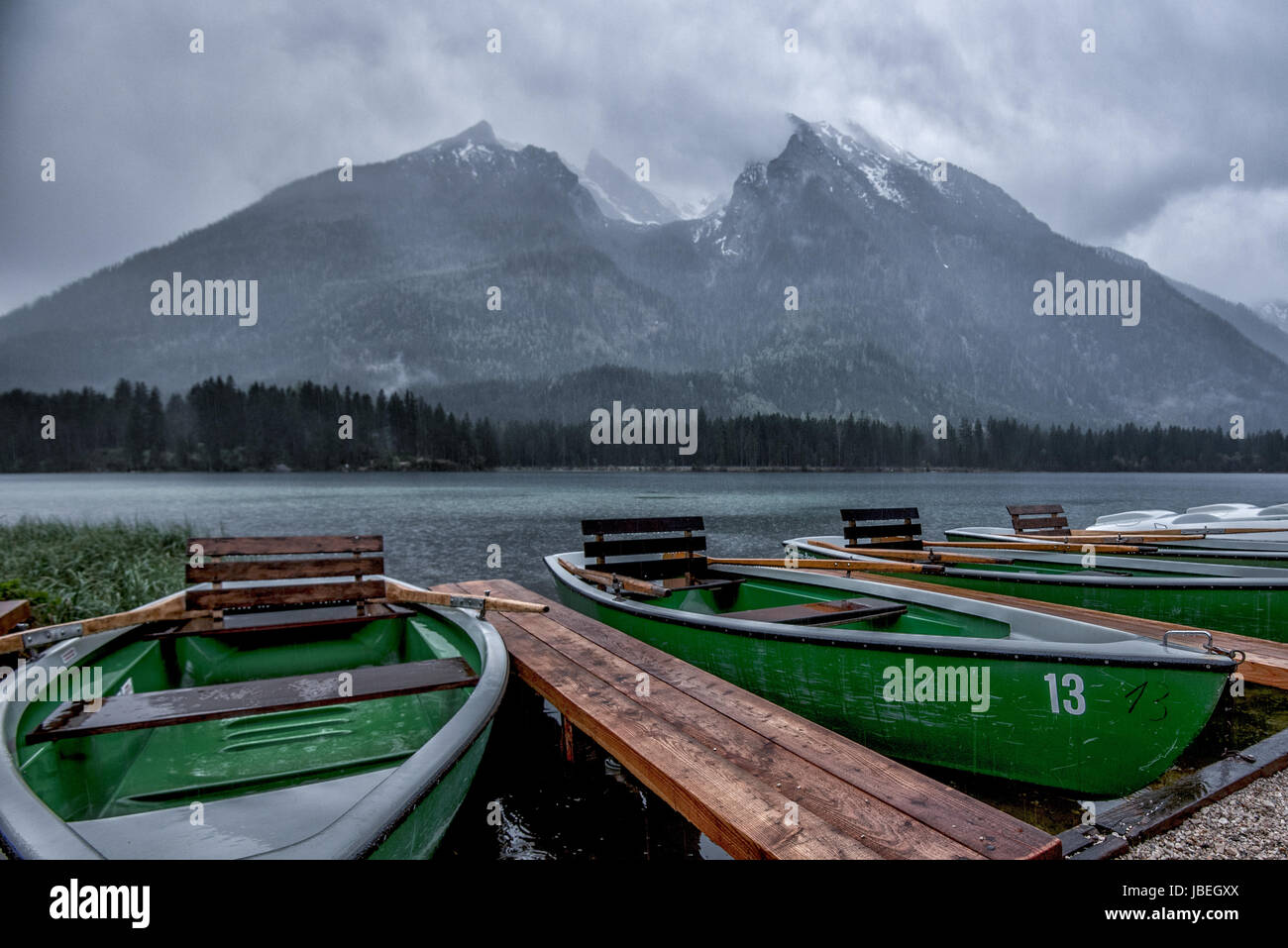Rotpalfen hi-res stock photography and images - Alamy