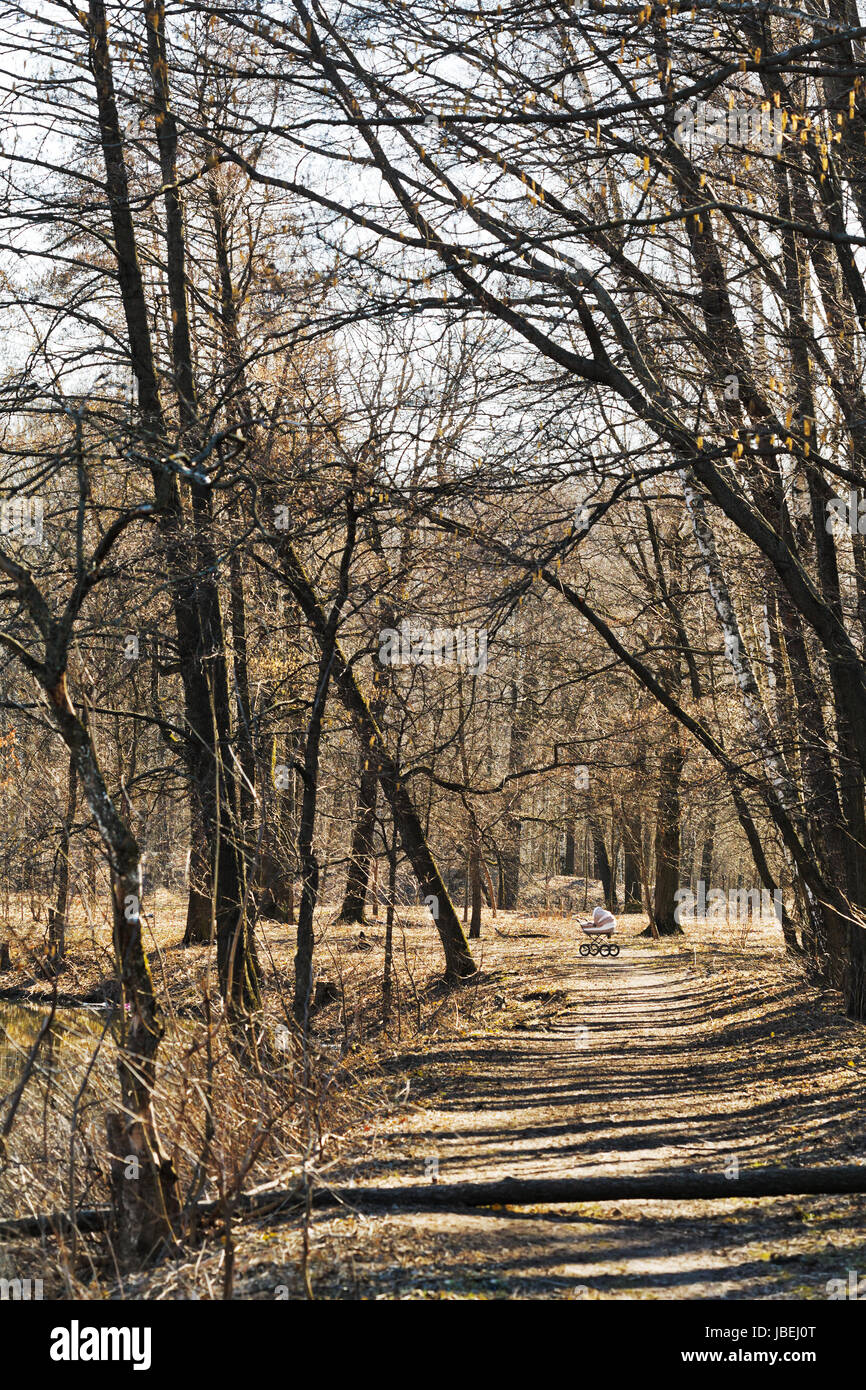 baby buggy and walking path in urban park in sunny spring day Stock ...