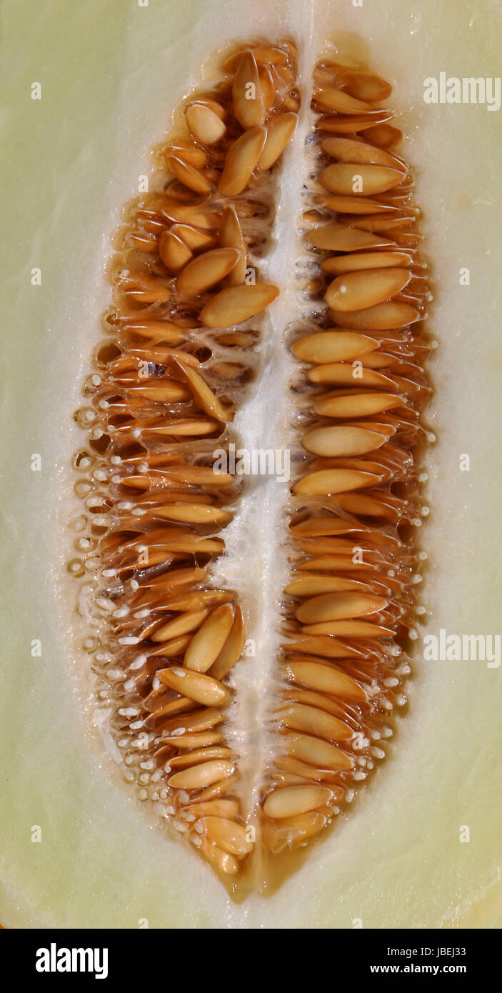 kernels sugar melon Stock Photo - Alamy