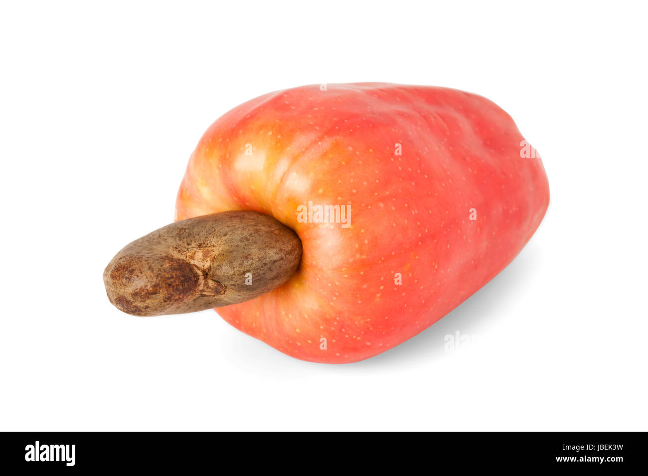 Fresh ripe Brazilian Caju Cashew fruit with path Stock Photo - Alamy