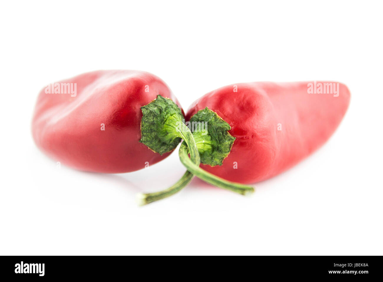 Two red hot chili pepper on a white background Stock Photo - Alamy