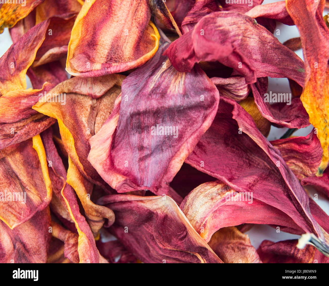 Dried up tulip leaf hi-res stock photography and images - Alamy