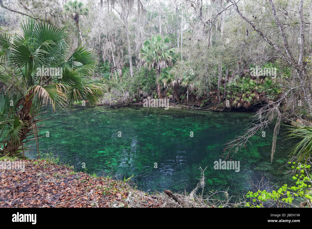 Blue Spring Statepark, Florida Stock Photo - Alamy