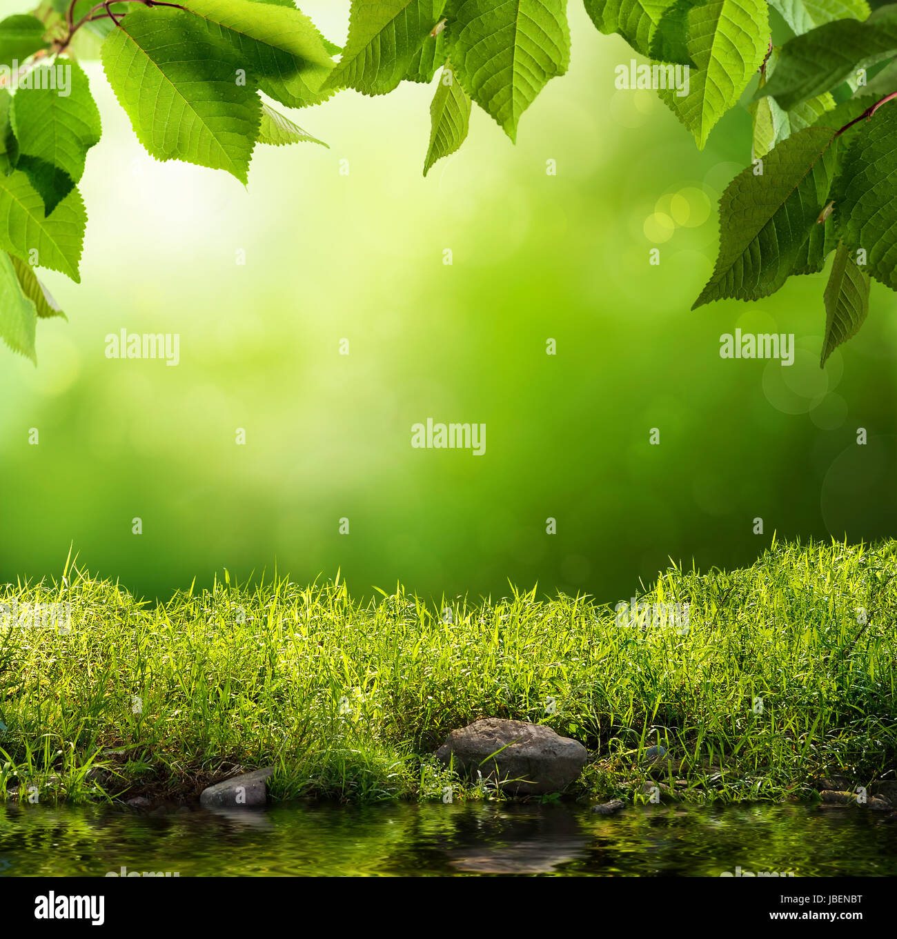 Wald und wasser hi-res stock photography and images - Alamy