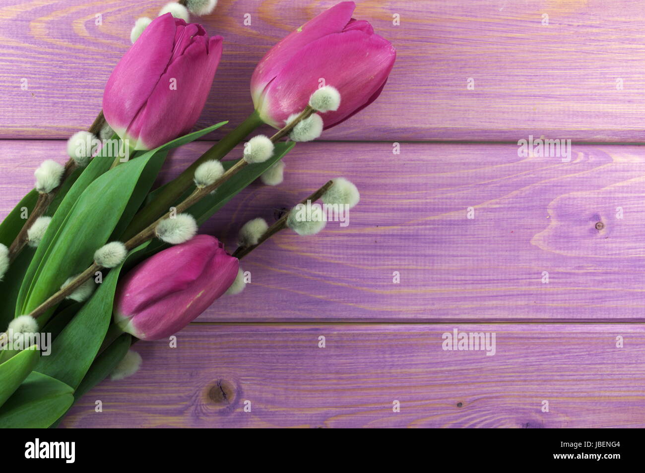 tulips and base Stock Photo - Alamy