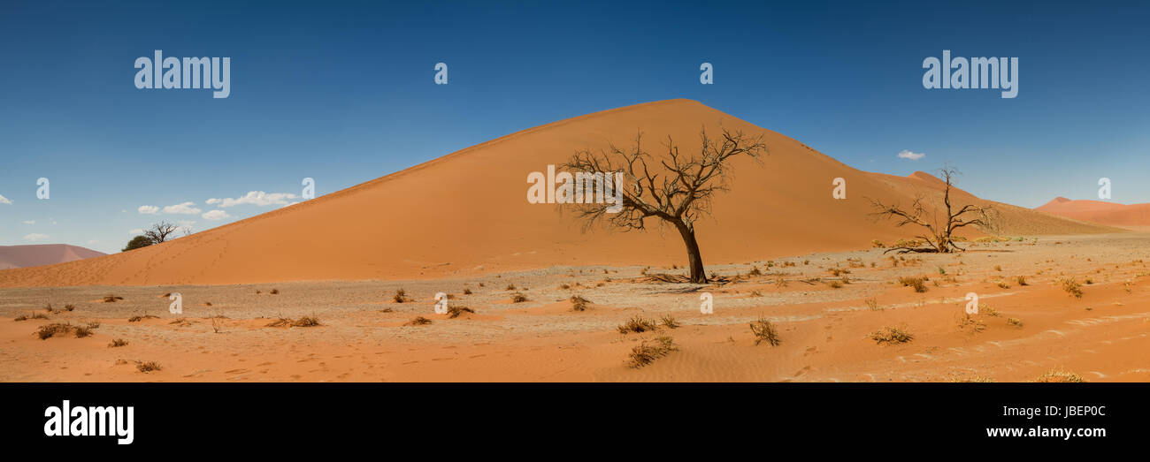 Panorama Top of Dune 45 at Sossusvlei, Namibia, Africa Stock Photo - Alamy