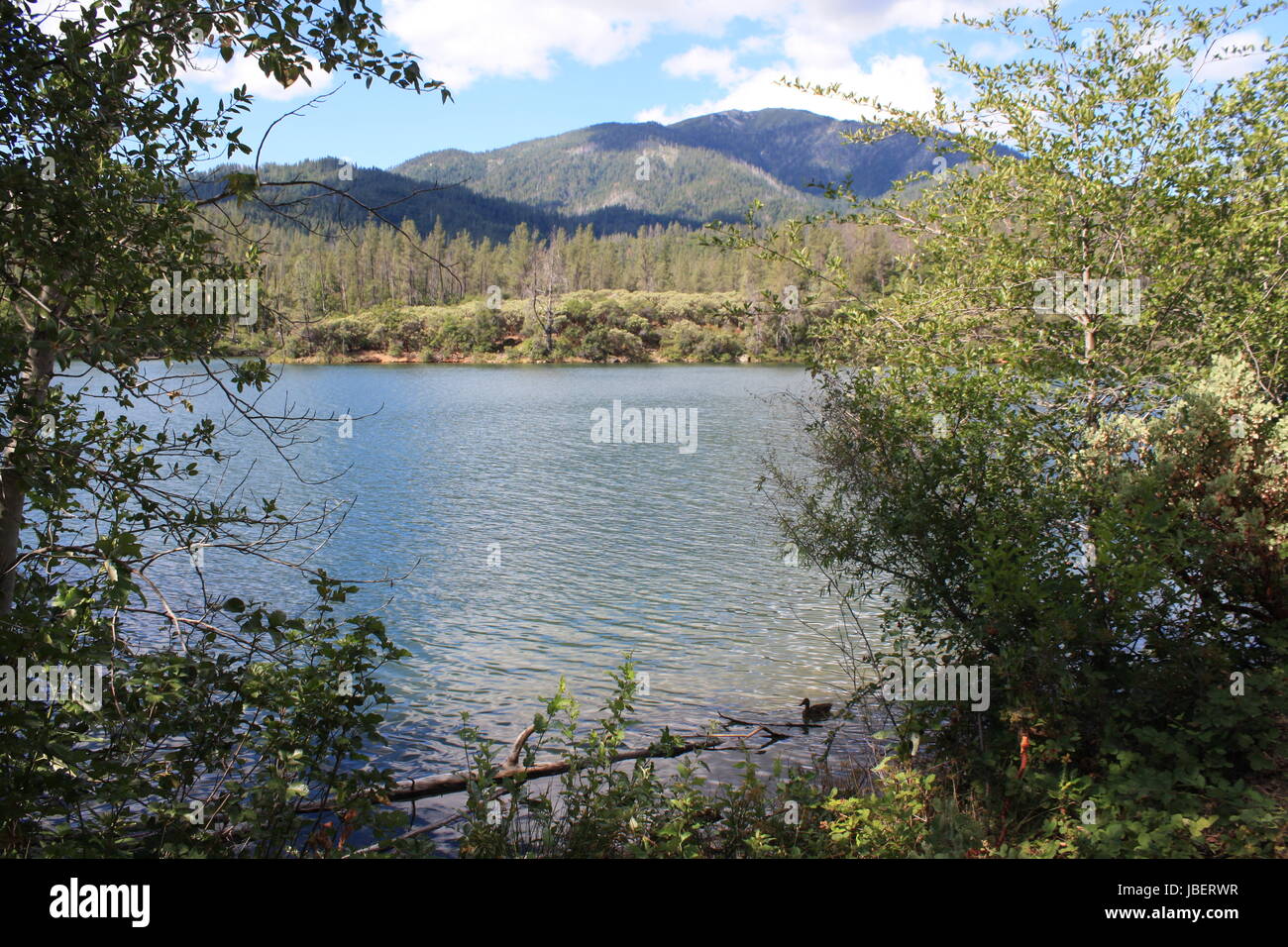 Whiskeytown lake hi-res stock photography and images - Alamy