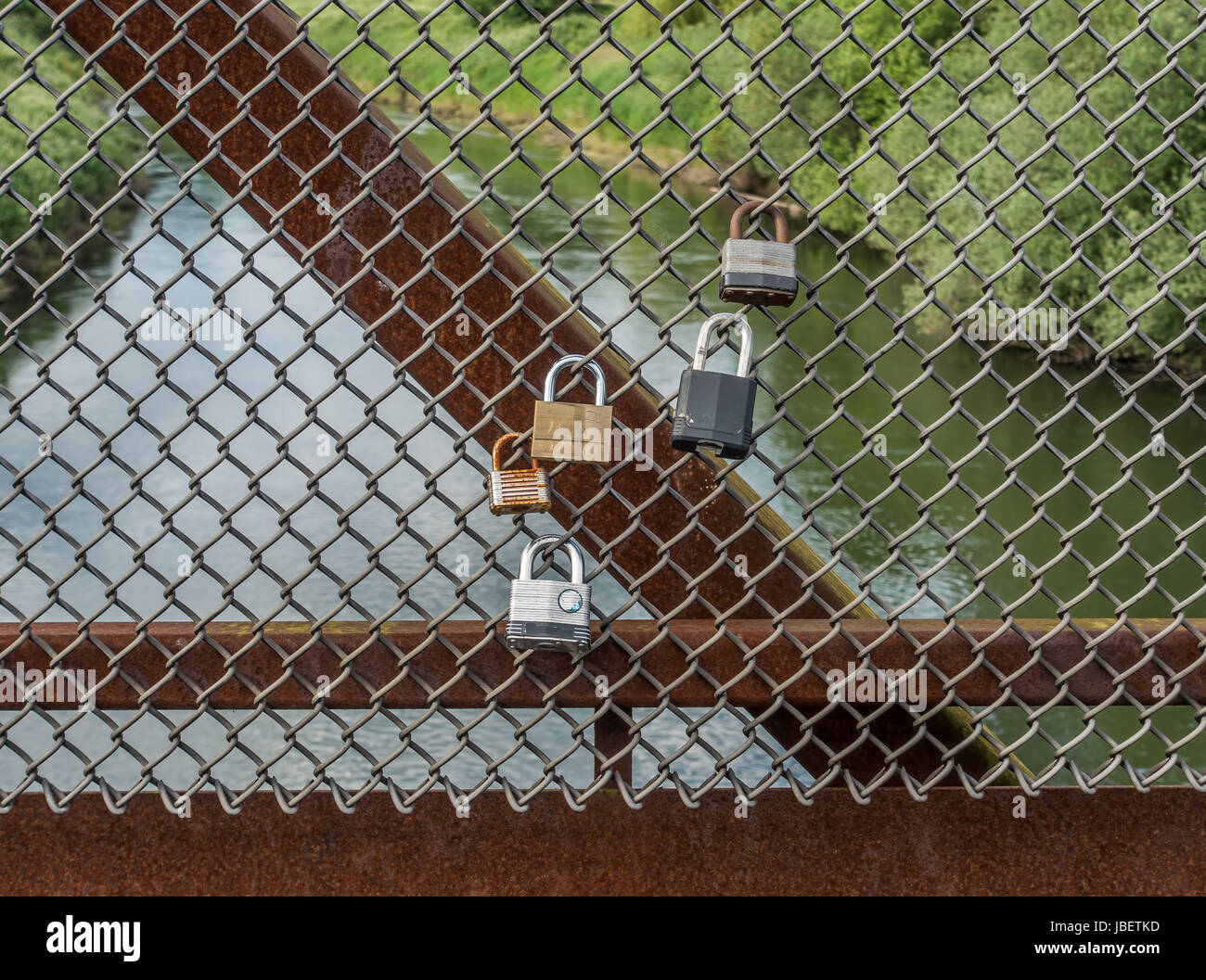 Love locks are attached to a fence on a bridge with the Green River ...