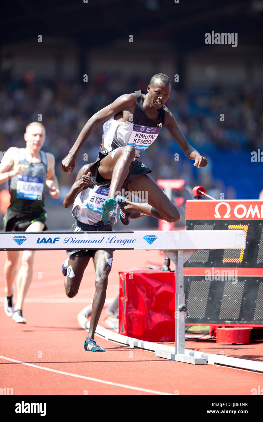 3000 meter steeplechase for men hi-res stock photography and images - Alamy