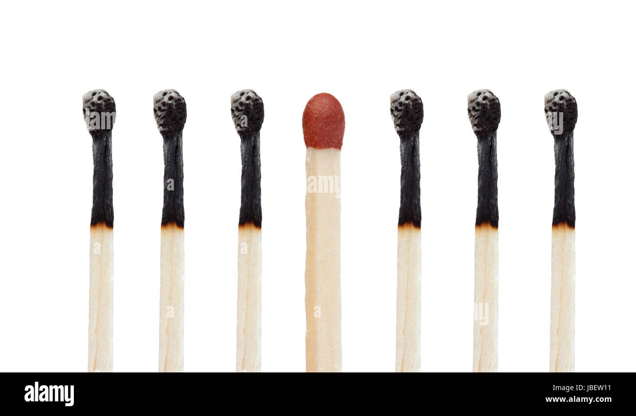 Many burned matches and a match without burning isolated on a white ...