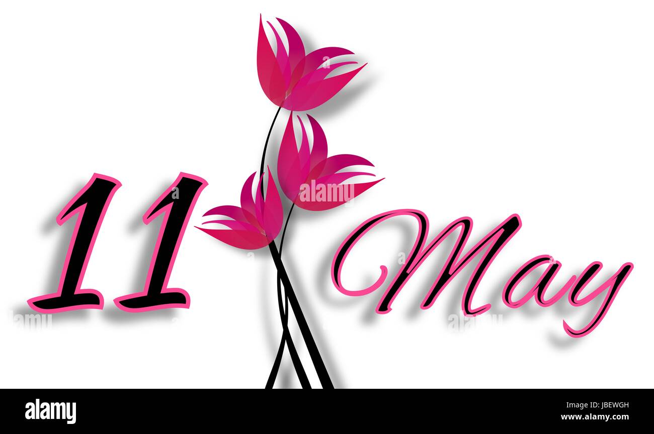 Mother's Day on May 11th with pink flowers isolated on a white ...