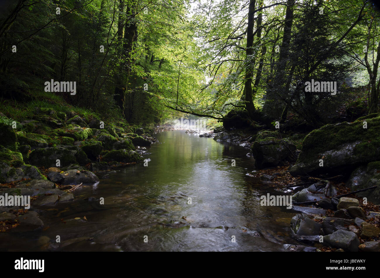 Beautiful shadows inside the water hi-res stock photography and images ...