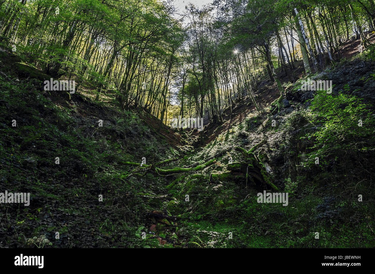 Navarra´s hi-res stock photography and images - Alamy