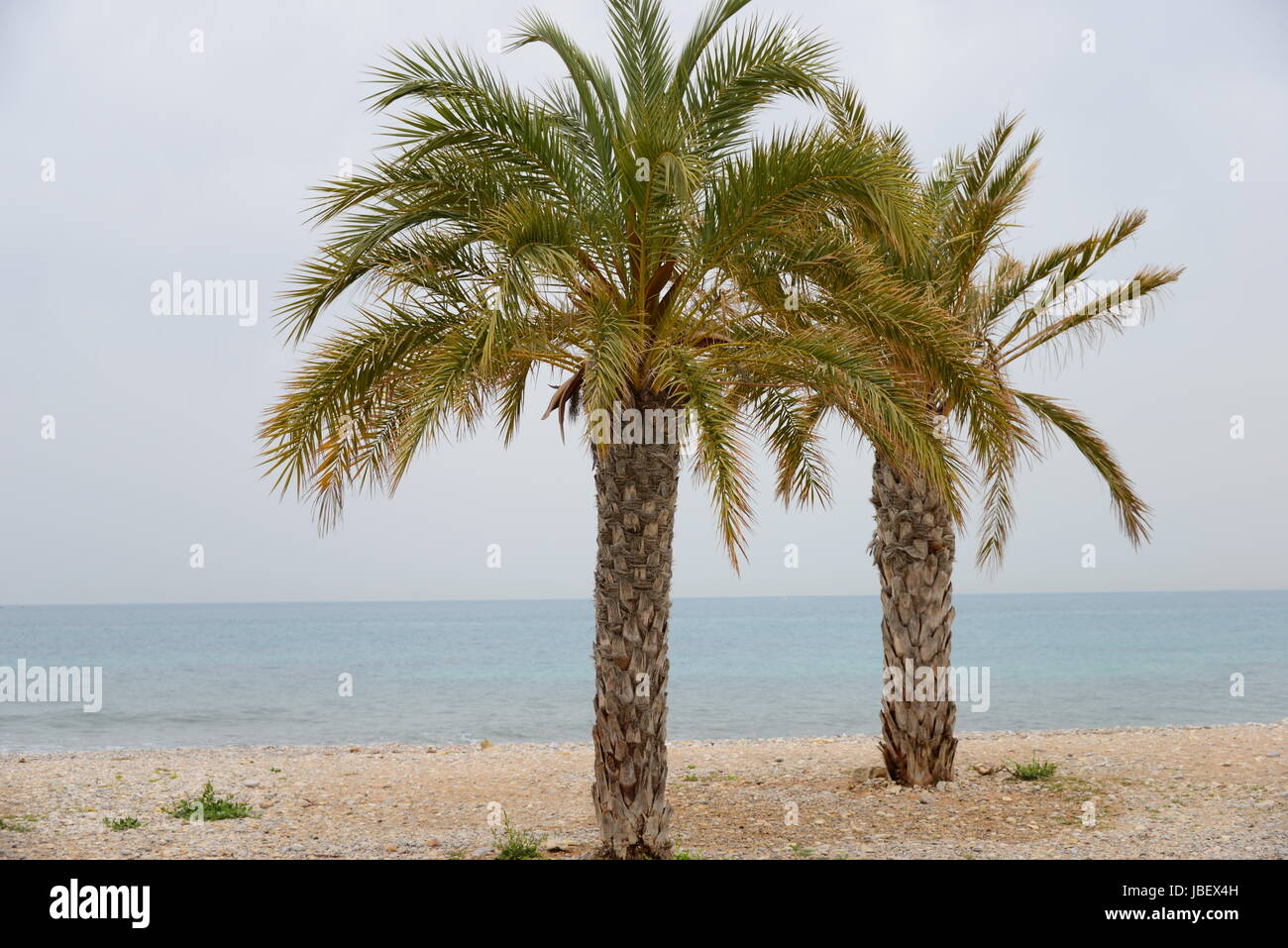 Heavenly oasis hi-res stock photography and images - Alamy