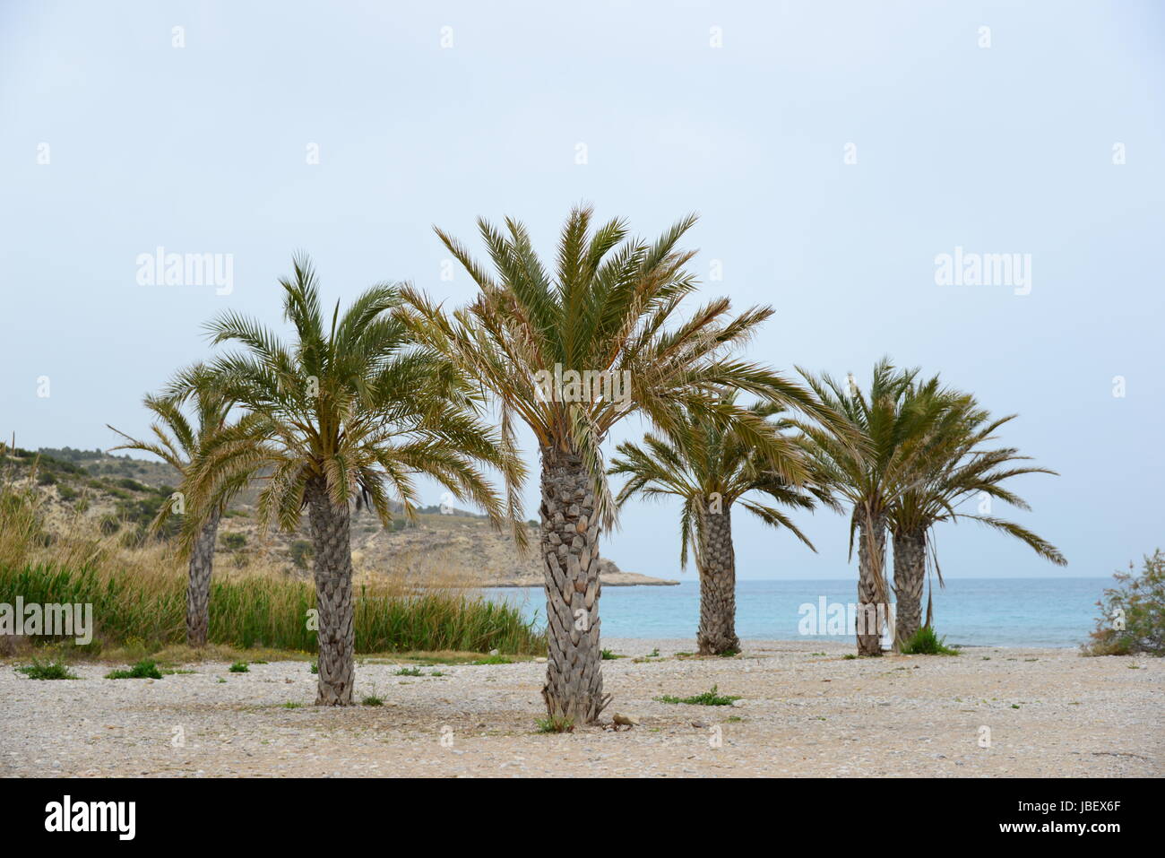 Celestial oasis hi-res stock photography and images - Alamy