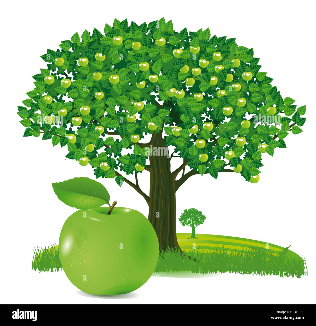 harvest apple tree Stock Photo - Alamy