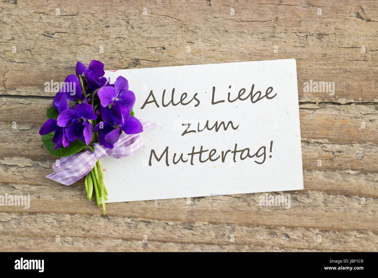 German violets hi-res stock photography and images - Alamy