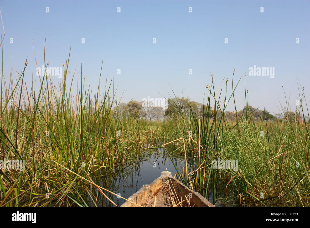with the mokoro through the okavangodelta Stock Photo - Alamy