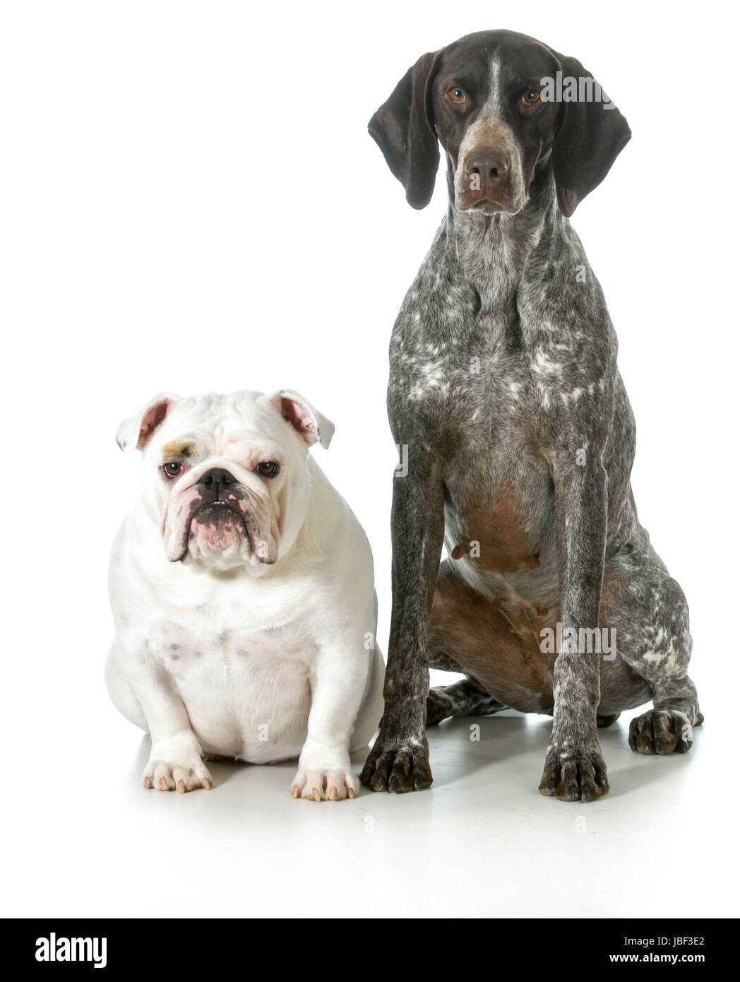 Attitude different Cut Out Stock Images & Pictures - Alamy