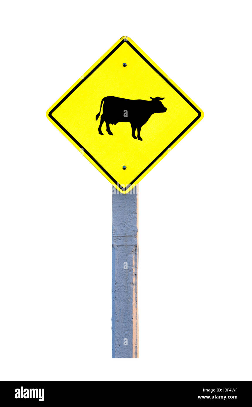 Animal cow road sign Cut Out Stock Images & Pictures - Alamy