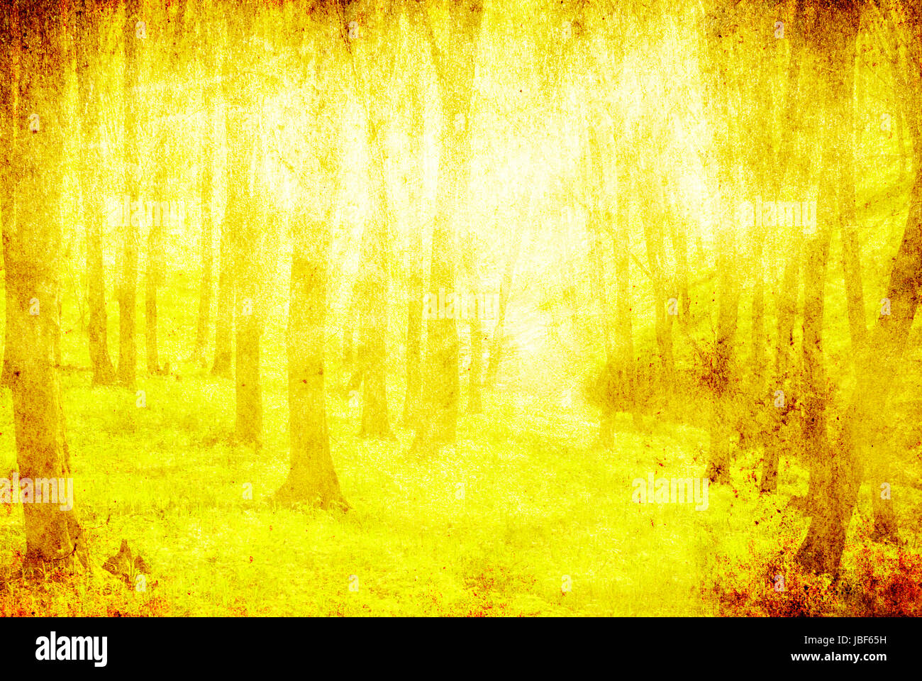 grunge forest background with space for text or image Stock Photo - Alamy