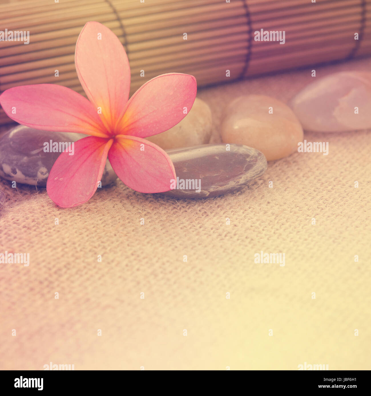 Tropical spa with Frangipani flowers on water in vintage retro style ...