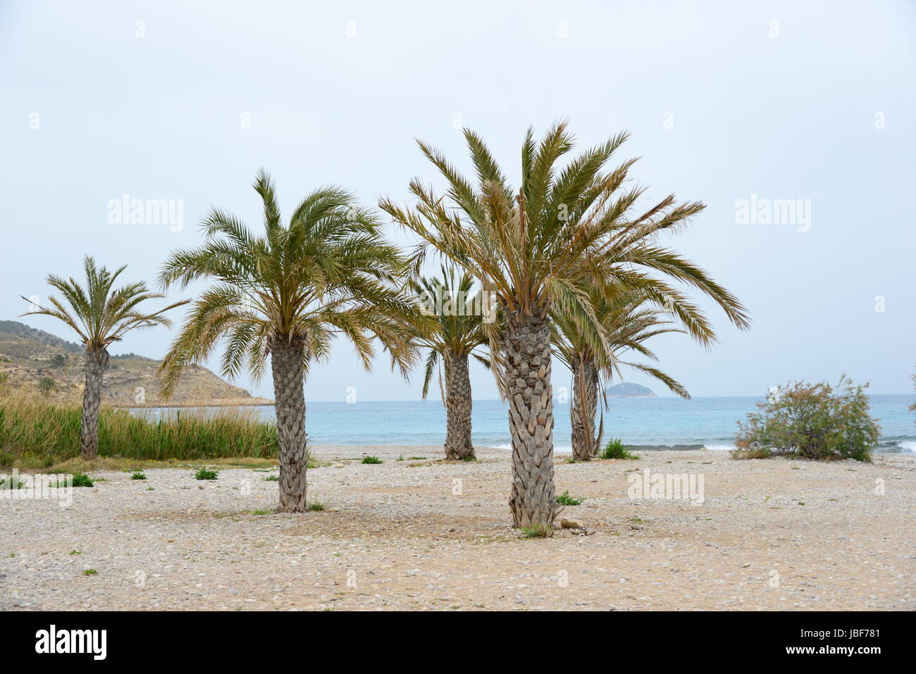 Heavenly oasis hi-res stock photography and images - Alamy