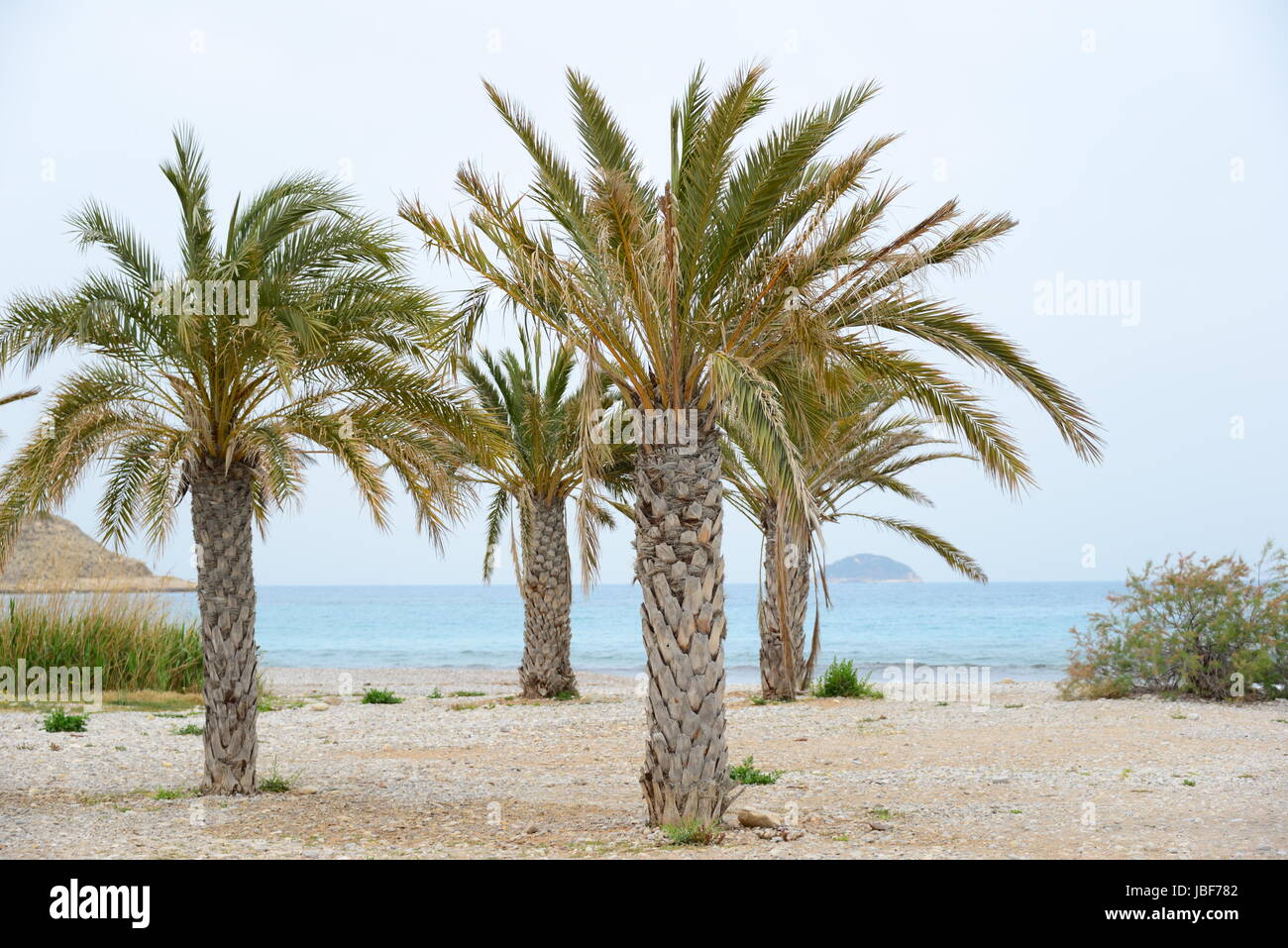 Celestial oasis hi-res stock photography and images - Alamy