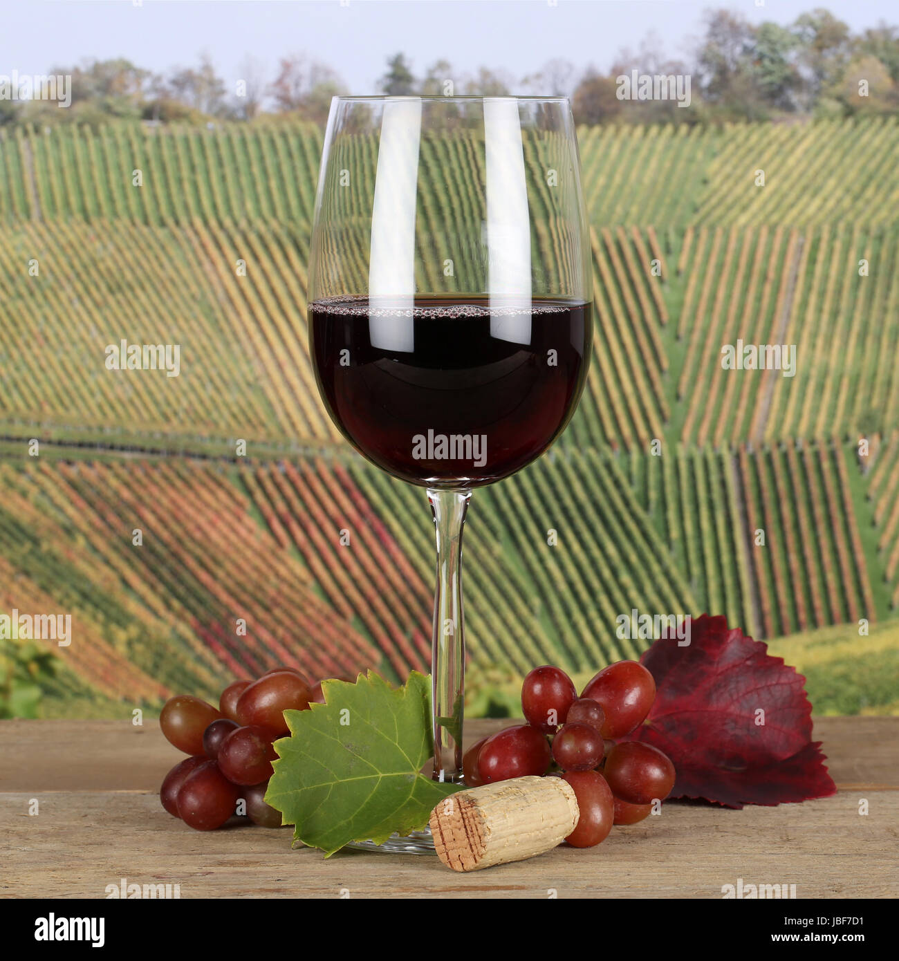 Rotwein herbst hi-res stock photography and images - Alamy