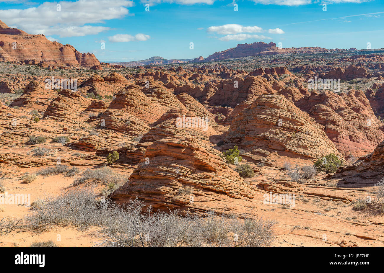 Beautiful landscape photography of The Wave in North Coyote Buttes ...