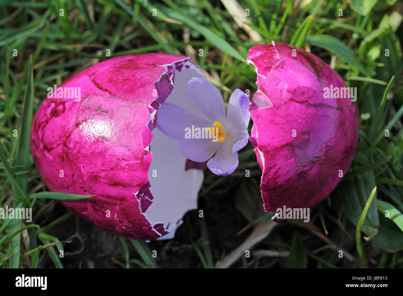 the pink easter egg Stock Photo - Alamy