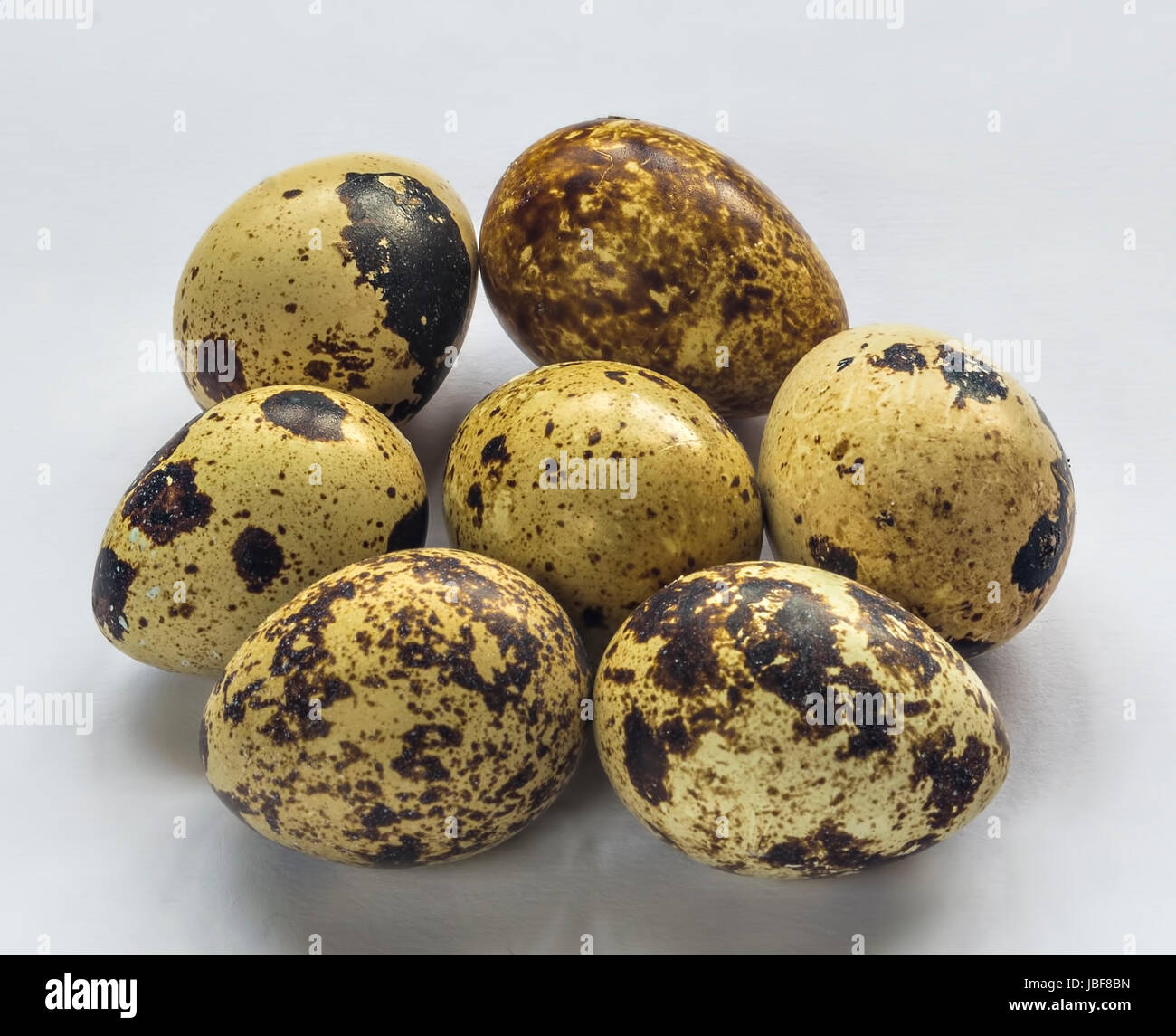 Broken quails egg hi-res stock photography and images - Alamy
