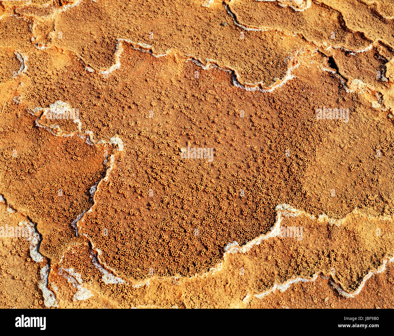 Sintering hi-res stock photography and images - Alamy