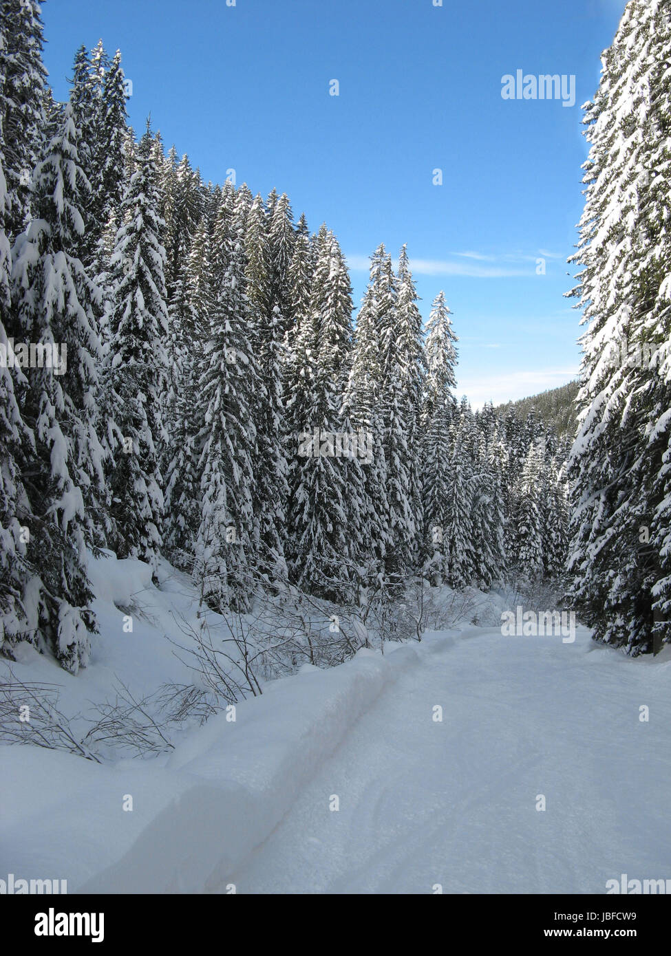 vigo di fassa a very beautiful place in italy Stock Photo - Alamy