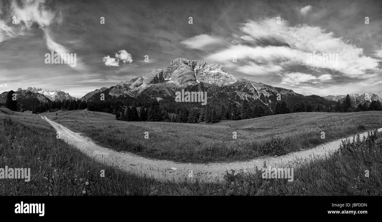 deep black meadows Stock Photo - Alamy
