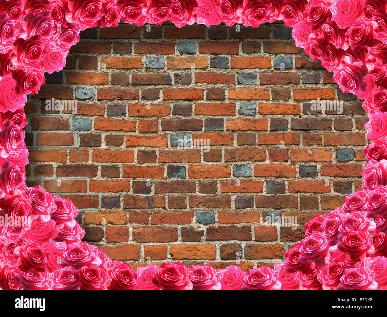 frame from red roses and background from wall from the red brick Stock ...