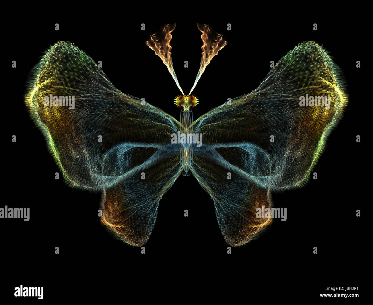 Never Were Butterflies series. Composition of isolated butterfly ...