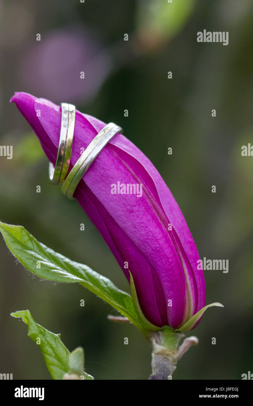 Wedding rings church hi-res stock photography and images - Alamy