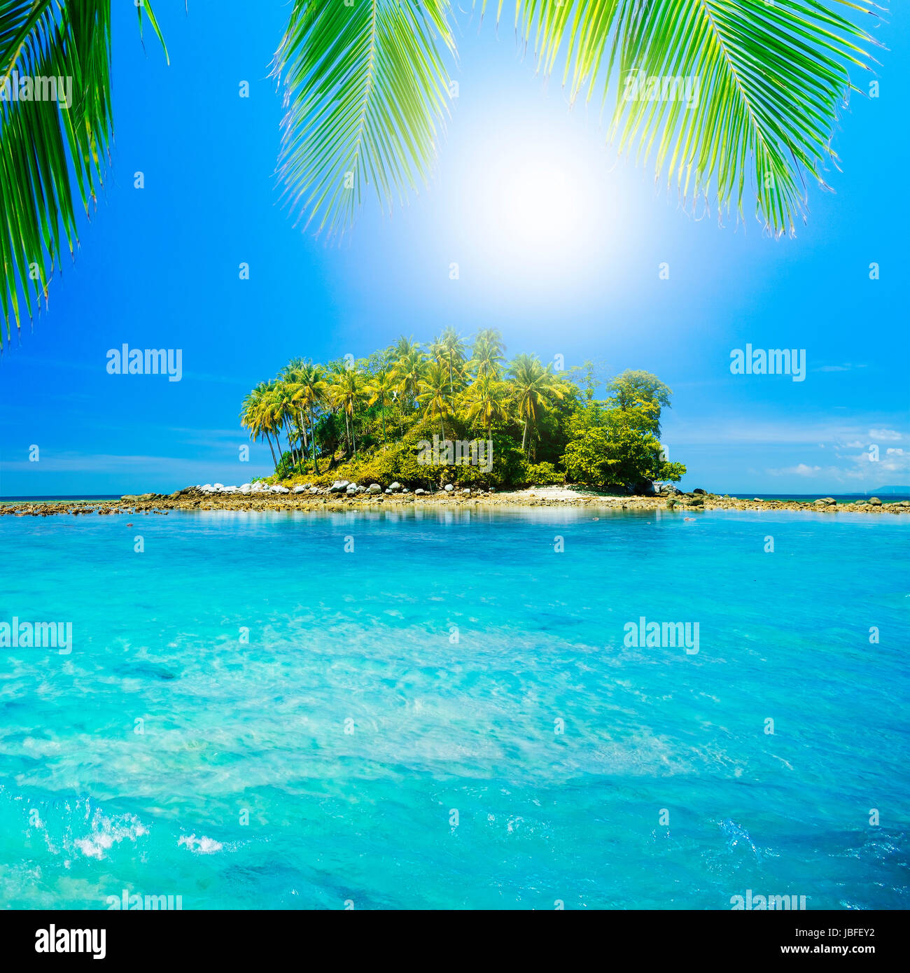 Tropical Heaven, square composition Stock Photo - Alamy