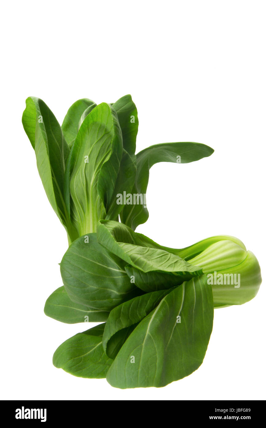 baby bokchoi, a kind of delicious vegetable isolated on the white ...
