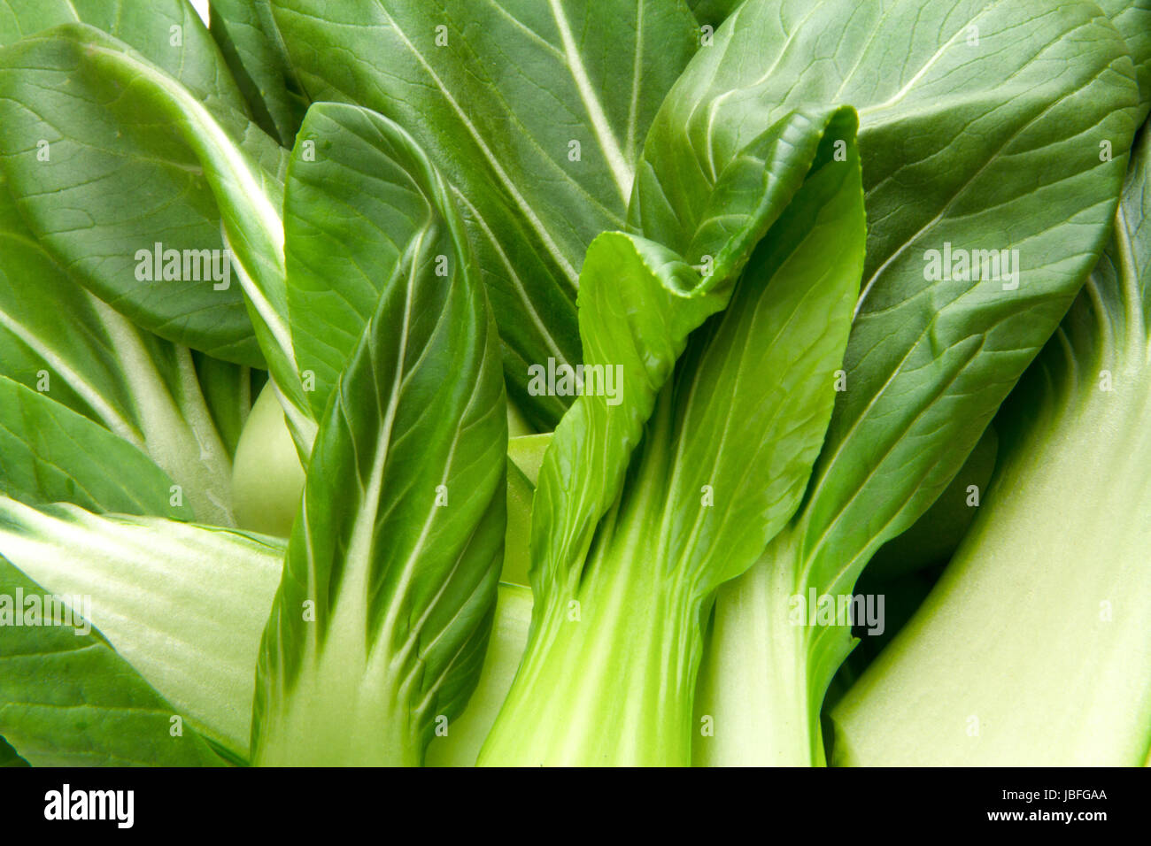 baby bokchoi, a kind of delicious vegetable isolated on the white ...