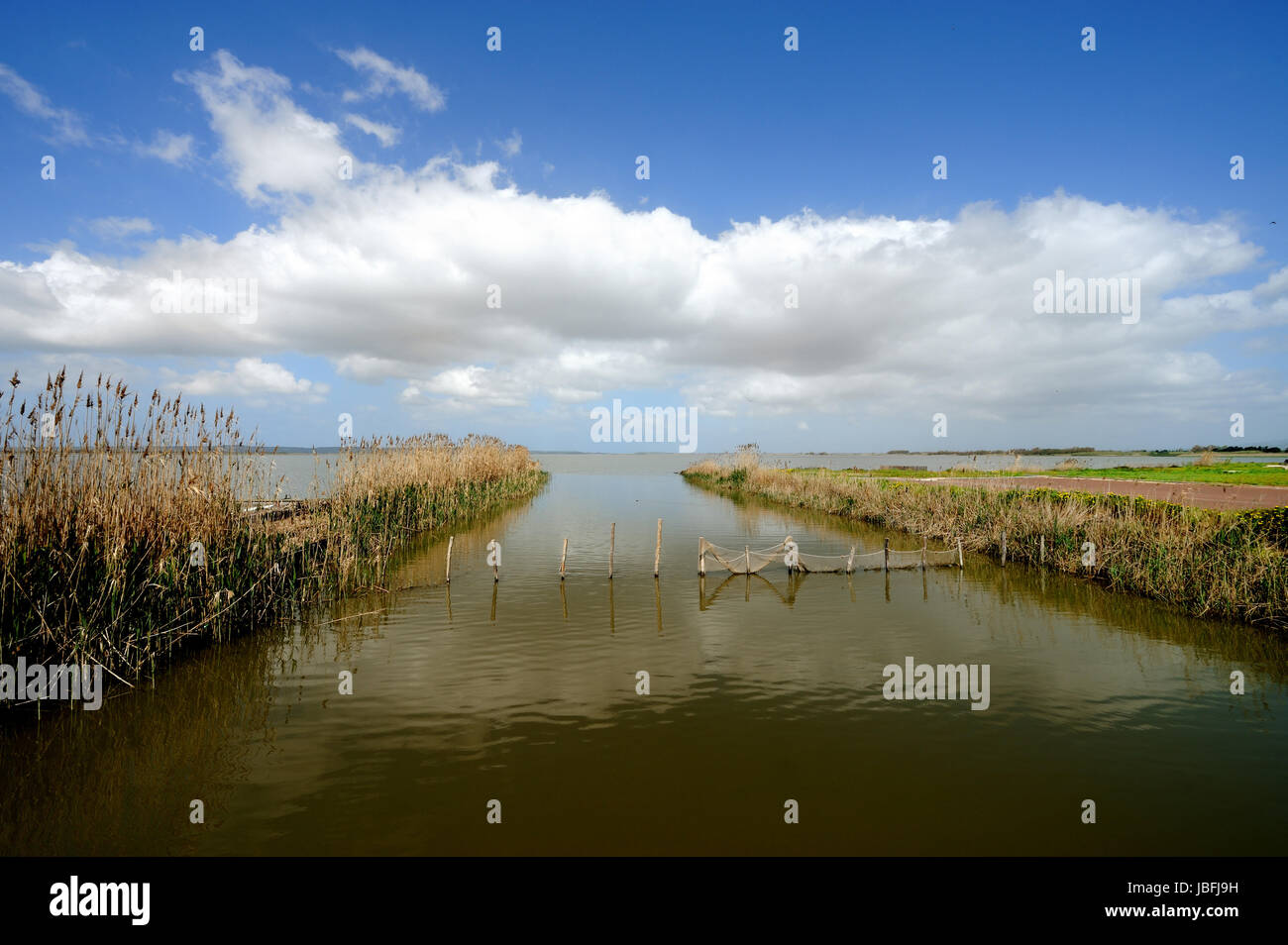 One of the most important wetlands in europe hi-res stock photography ...