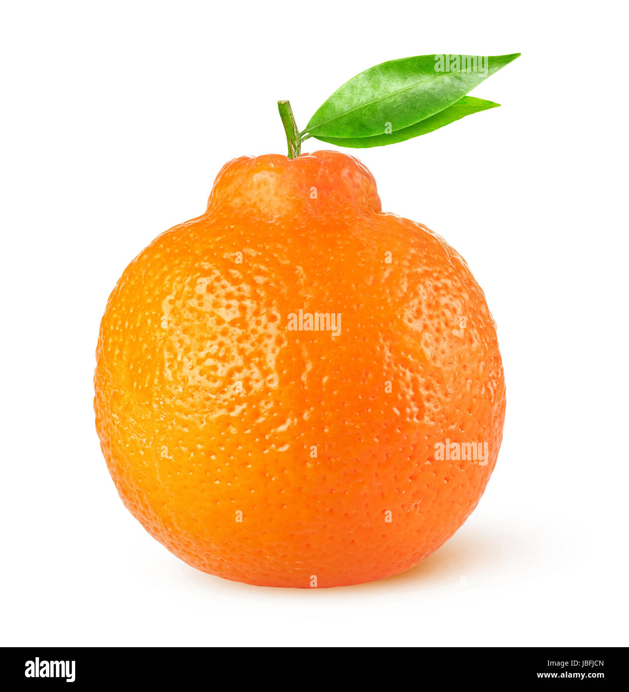 Isolated citrus fruit. One minneola tangelo with leaves isolated on ...