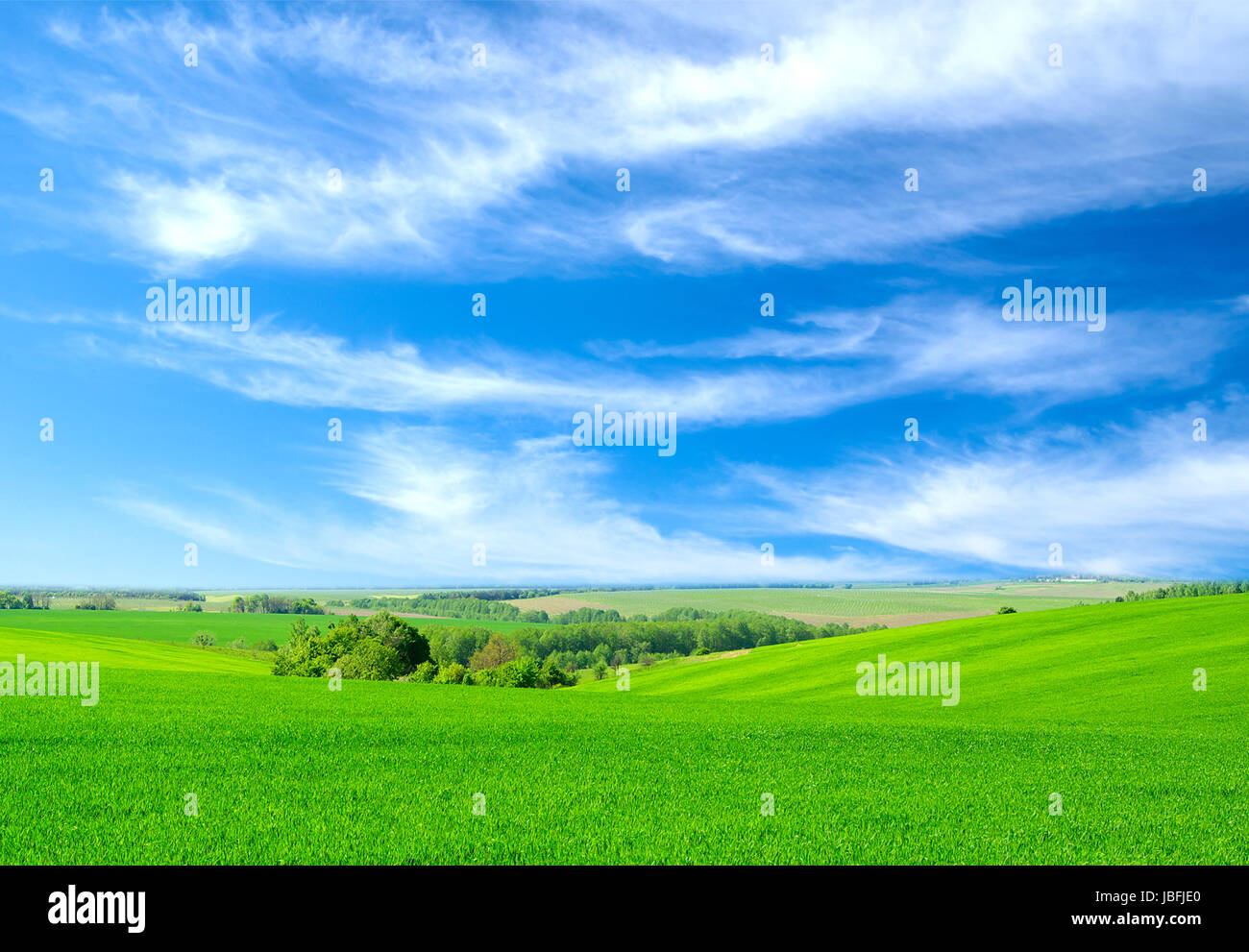 green field and blue sky Stock Photo - Alamy
