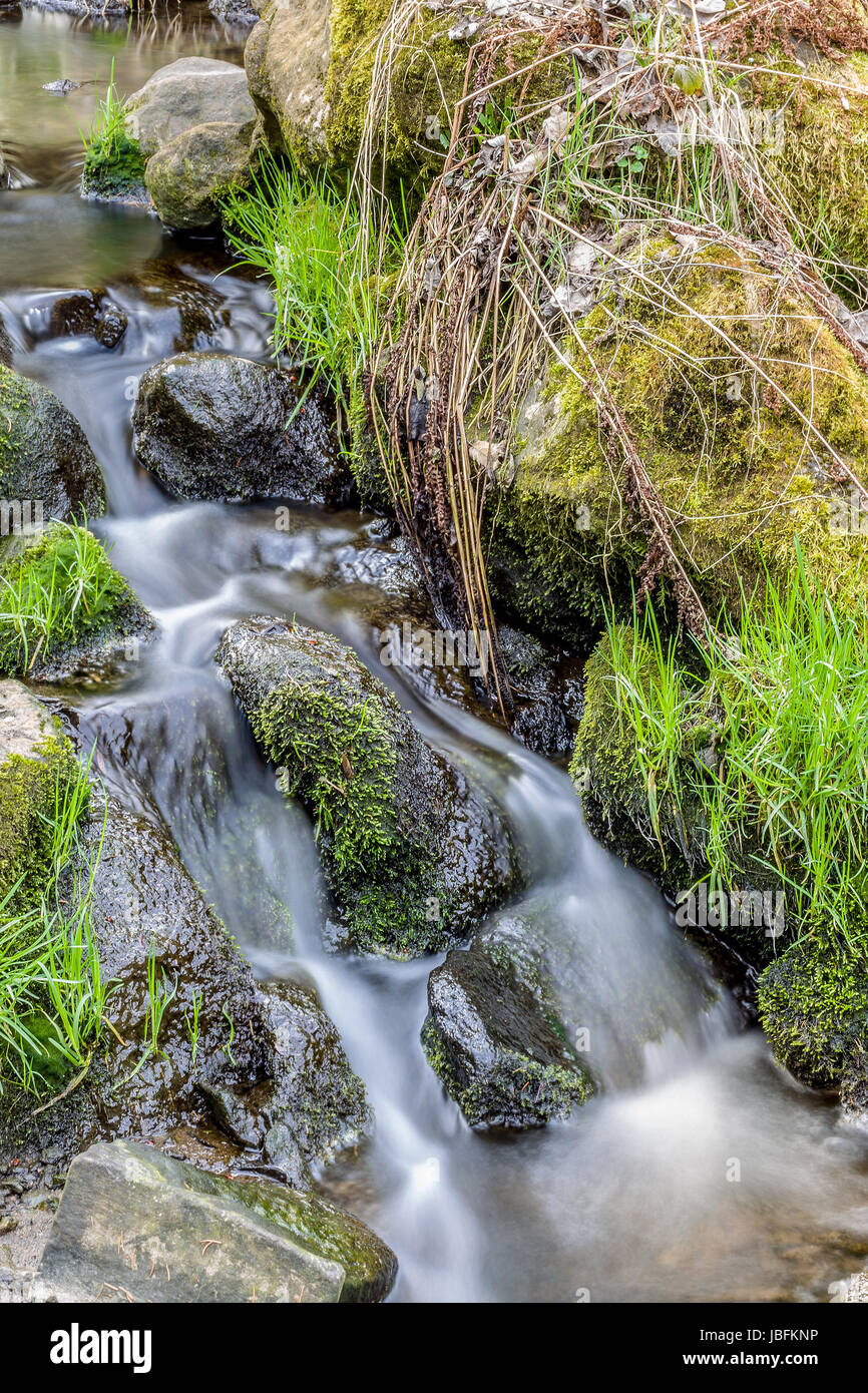Falls on the small mountain river in a wood in spring Stock Photo - Alamy