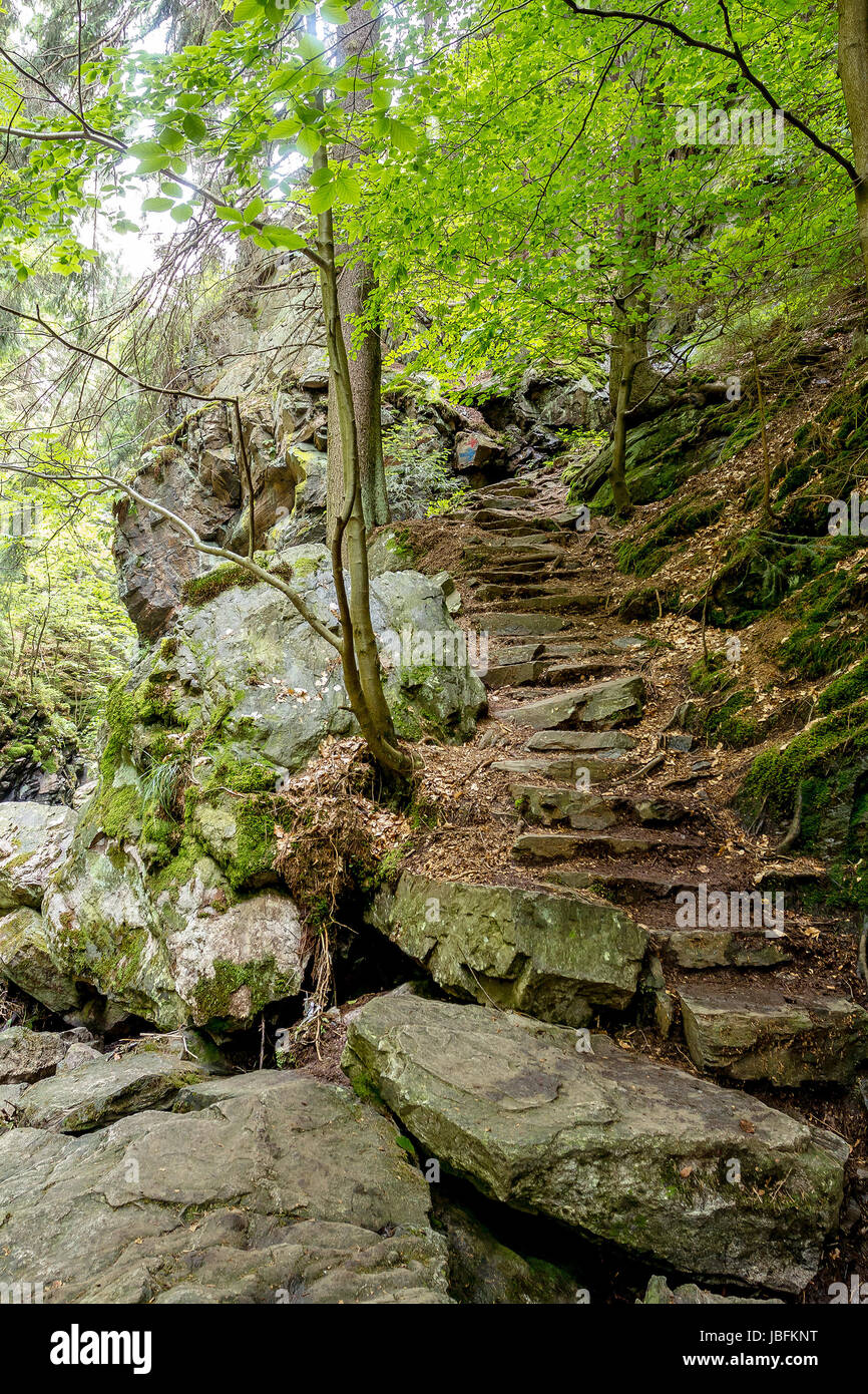 Stone staircase leading up a walkway through the Doubrava valley, Czech ...